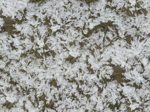 frozen ground texture 0048 - Texturelib